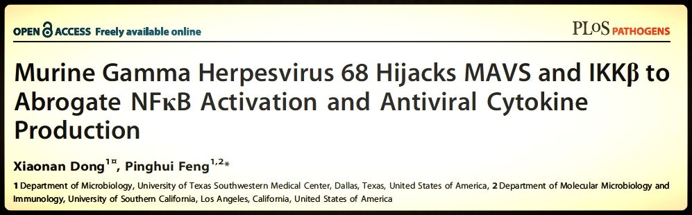 Publications - Pinghui Feng Lab