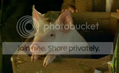 Pig Of Destiny: A Babe Fansite