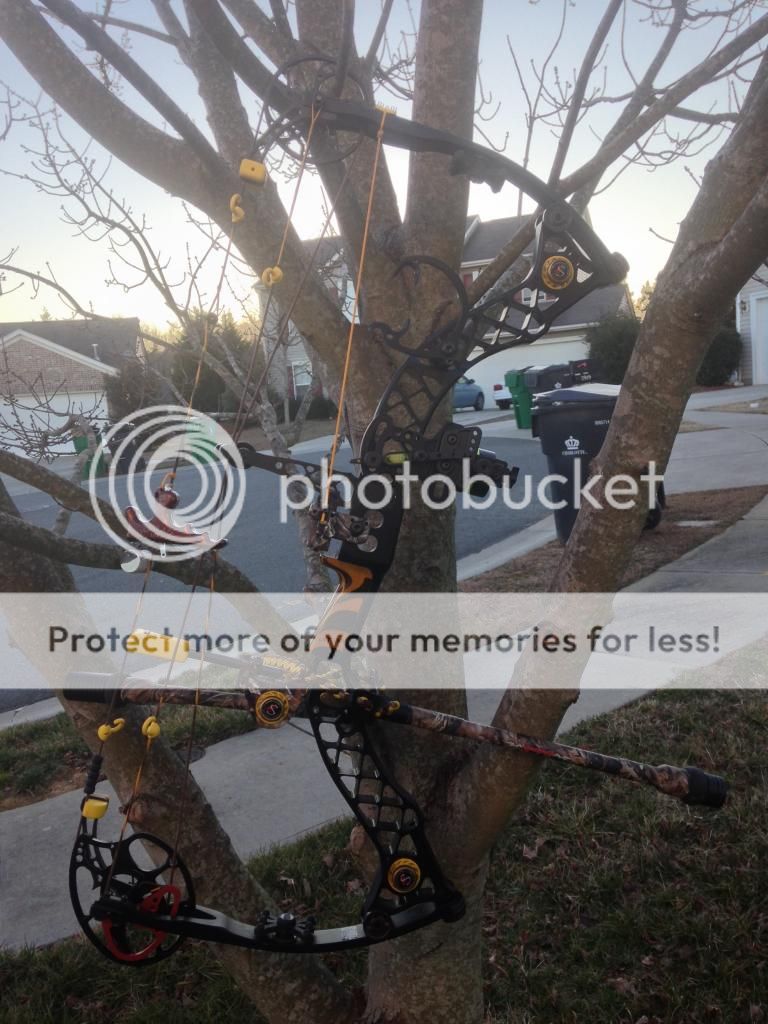 Post pictures of your bows here!! | Archery Talk Forum