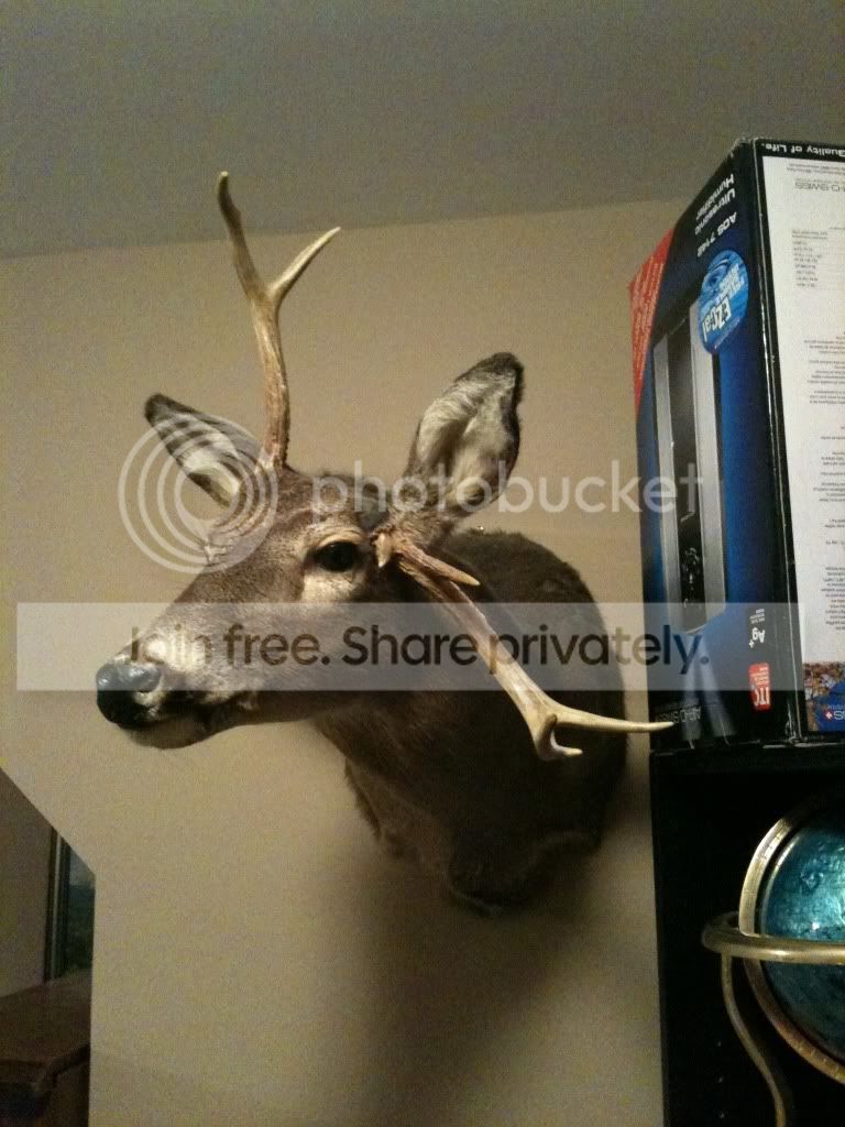 Post your ugliest deer pics | Page 3 | Archery Talk Forum