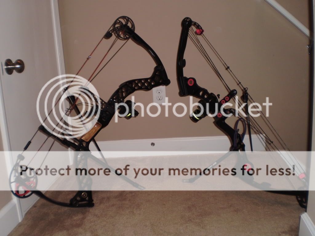 what color hunting bow? | Archery Talk Forum