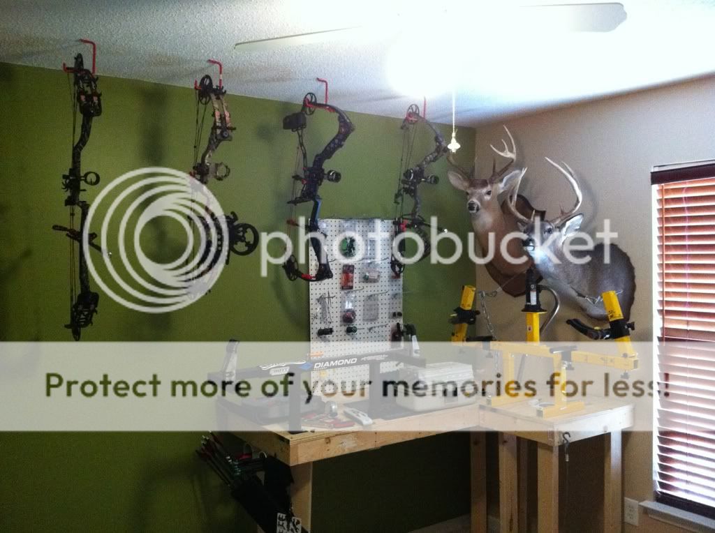 Lets see your Bow | Page 4 | Archery Talk Forum