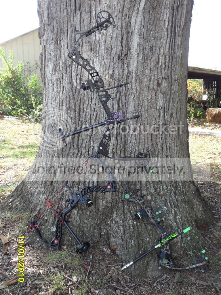 Lets see your mathews rig!! | Archery Talk Forum
