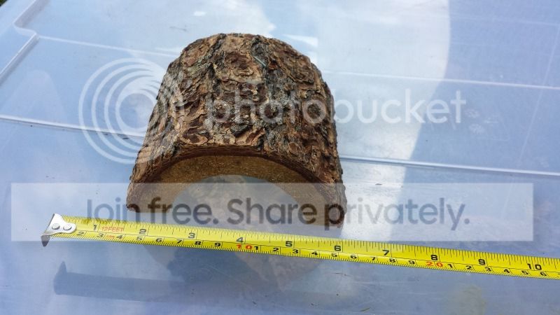 various pieces of cork bark/ logs - large pieces | Reptile Forums